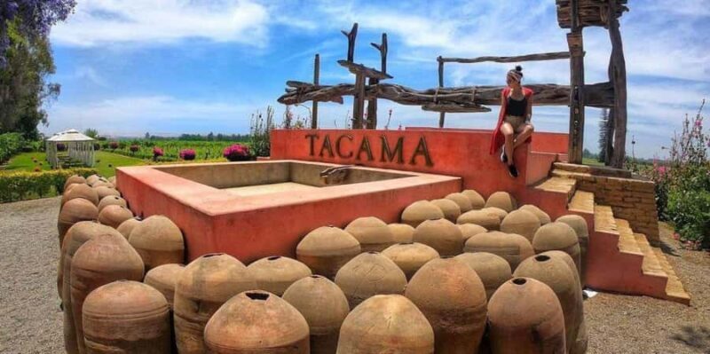 Lagos/Praia da Luz: Wine Tour, Tastings, Tapas, and Music - Final Thoughts