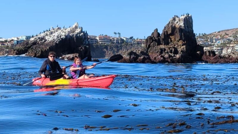 Laguna Beach: Ocean Kayak Private Tour with Guide - Frequently Asked Questions