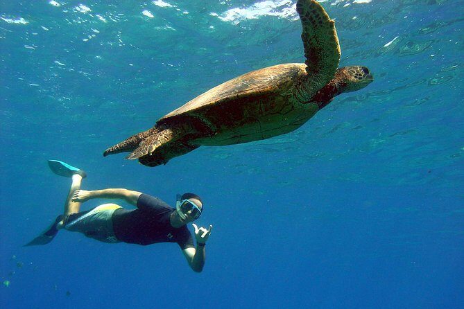 Lahaina Kayak and Snorkel Excursion - Who Will Love This Tour?