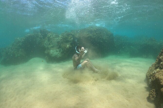 Lahaina Reef Snorkeling Adventure in Maui - Authentic Insights from Reviewers