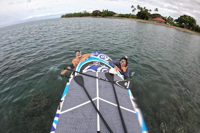 Lahaina Reef Snorkeling Adventure in Maui - Practical Tips for Your Maui Snorkeling Adventure