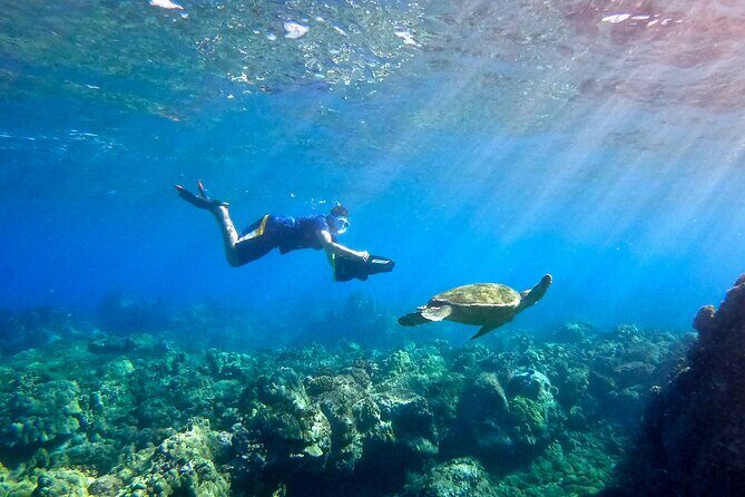 Lahaina Small Group Snorkeling Adventure - The Sum Up