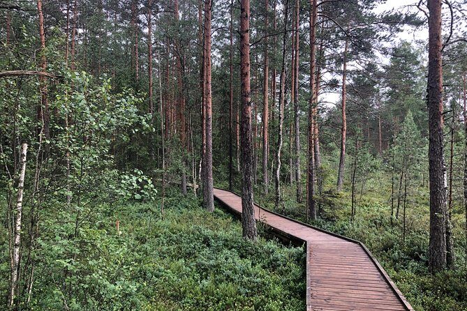 Lahemaa national park in Estonia - Practical Aspects: What to Expect