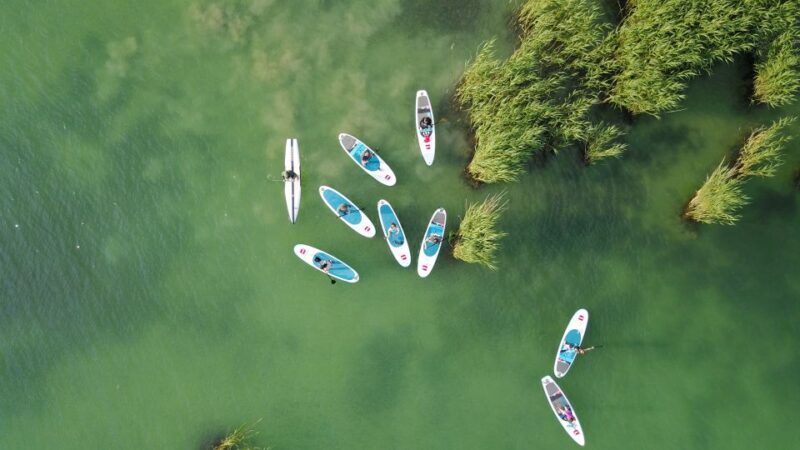 Lake Balaton: Paddle Board Tour of Tihany National Park - Lake Balaton: Paddle Board Tour of Tihany National Park