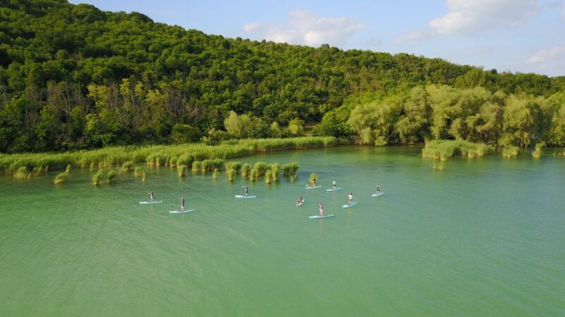 Lake Balaton: Paddle Board Tour of Tihany National Park - What Makes it Worthwhile?