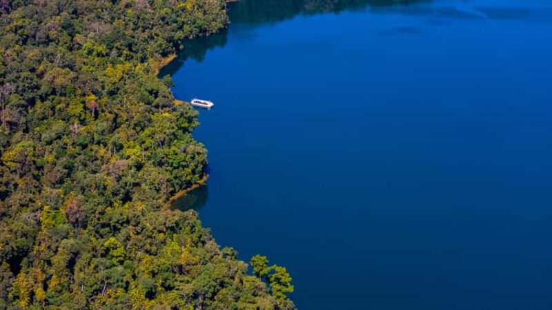 Lake Barrine Boat Cruise Discover Queenslands Hidden Gem - An Authentic Look at Lake Barrine’s Boat Cruise
