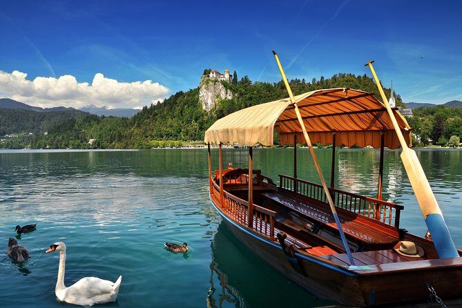 Lake Bled All inclusive tour from Ljubljana - Key Points