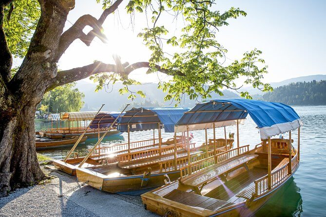 Lake Bled half day tour from Ljubljana - An Impressive Half-Day Adventure