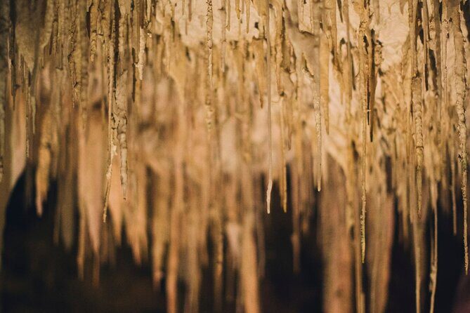 Lake Cave Fully Guided Tour - In Summary