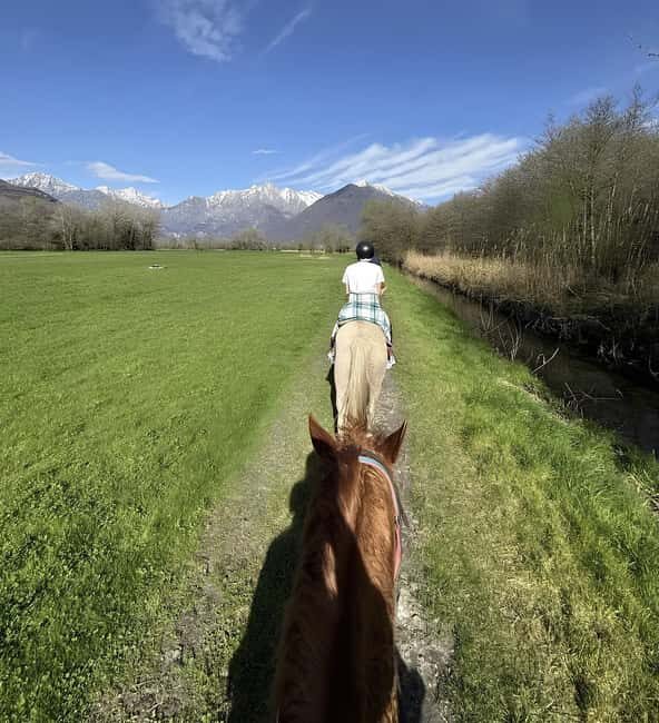 Lake Como: Horseback Riding Tour from Colico - An In-Depth Look at the Horseback Riding Experience
