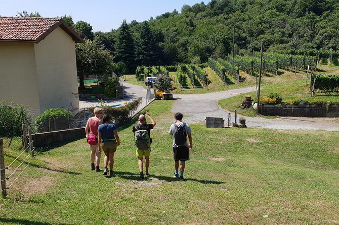 Lake Como Rebels: Adventure day in Spina Verde Regional Park - A Closer Look at the Adventure Day in Spina Verde Regional Park