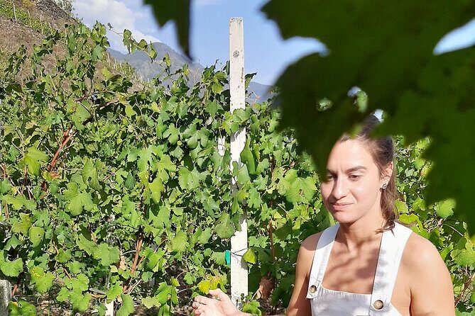 Lake Como & UNESCO Dry-stone Walls Vineyards - FAQs about the Lake Como & UNESCO Dry-stone Walls Vineyard Tour