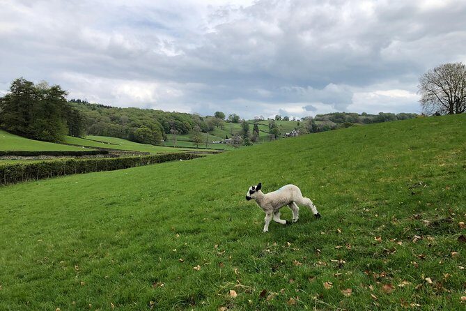 Lake District from Liverpool including Lake Cruise - Practical Details & Tips