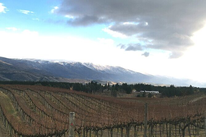 Lake Dunstan Cycleway with E-Bike hire and Shuttle service - The Cost and Value Proposition