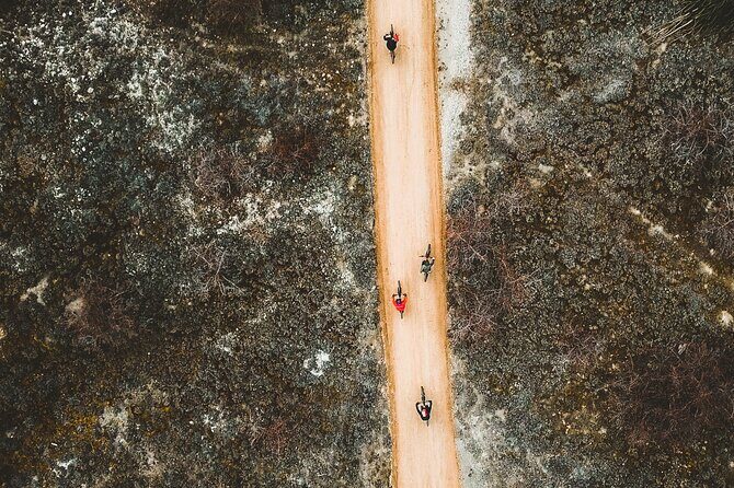 Lake Dunstan E-Bike Trail Adventure - Authentic Experiences and Practical Considerations