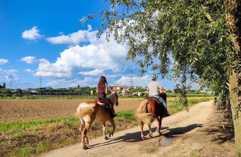 Lake Garda: 2 hours Horseback Ride in the Countryside - Lake Garda: 2 hours Horseback Ride in the Countryside — A Detailed Review