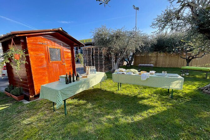 Lake Garda Olive Oil Tour and Tasting Experience - Who Will Love This Tour?