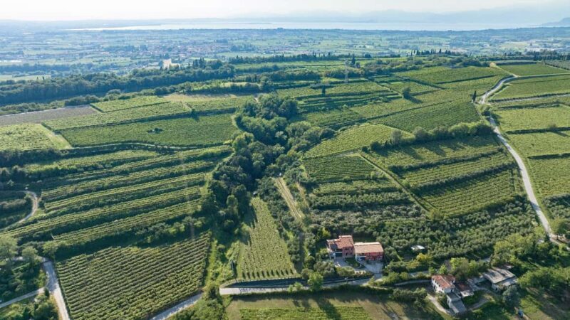 Lake Garda: Tour with 4 Olive Oil Tasting & Local Food - Authentic & Memorable: Why This Tour Works