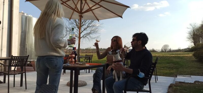 Lake Garda: Vineyard Tour and 6 wine Tasting - Final Thoughts
