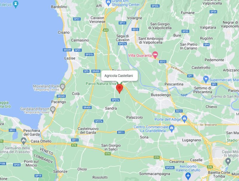 Lake Garda: Vineyard Tour and Tasting on the Hills - The Sum Up