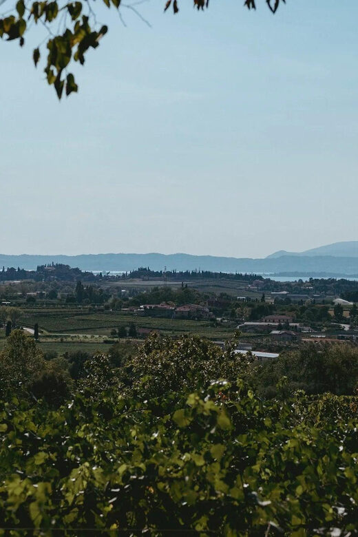 Lake Garda: Vineyard Tour and Tasting on the Hills - FAQ