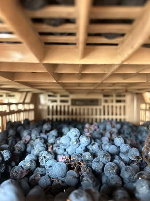 Lake Garda: Wine Tasting and Myths Tour with Local Snacks - FAQs