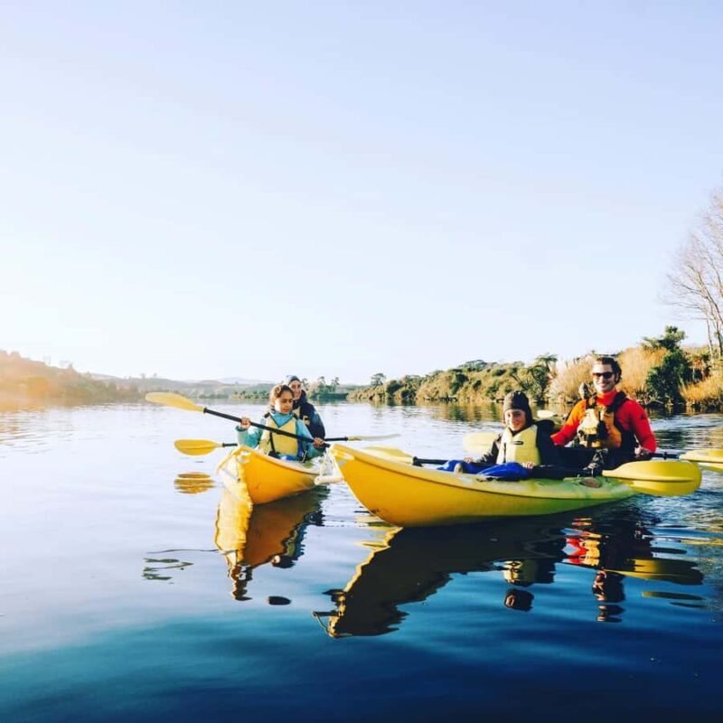 Lake Karapiro: Evening Kayak Glowworm Tour - The Guides and Their Role