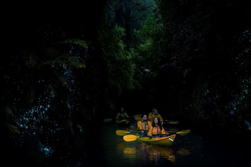 Lake Karapiro: Evening Kayak Glowworm Tour - The Historical Connection