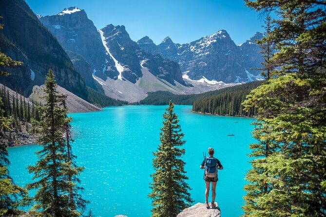 Lake Louise and Moraine Lake Afternoon tour in Canmore and Banff - Key Points