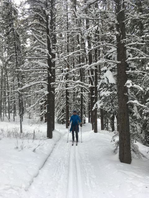 Lake Louise: Cross Country Skiing Lesson with Tour - An In-Depth Look at the Lake Louise Cross Country Skiing Experience