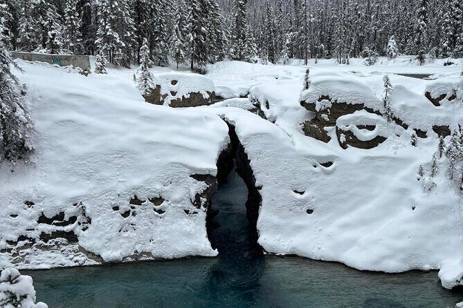 Lake Louise, Moraine Lake, Emerald Lake and Johnston Canyon Tour - Who Will Love This Tour?