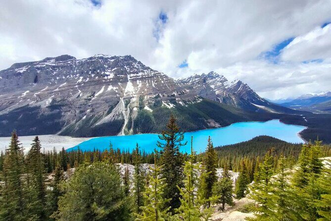 Lake Louise, Moraine Lake, Peyto Lake, Crowfoot Tour from Calgary - The Experience in Detail