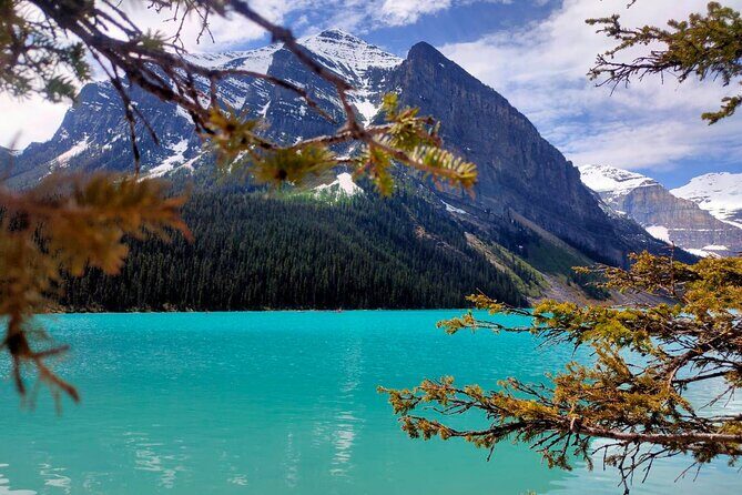 Lake Louise, Moraine Lake, Peyto Lake, Crowfoot Tour from Calgary - Authentic Insights from Reviewers