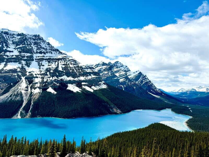 Lake Louise, Peyto Lake, Johnston Canyon & Icefields Parkway - Who Will Love This Tour?