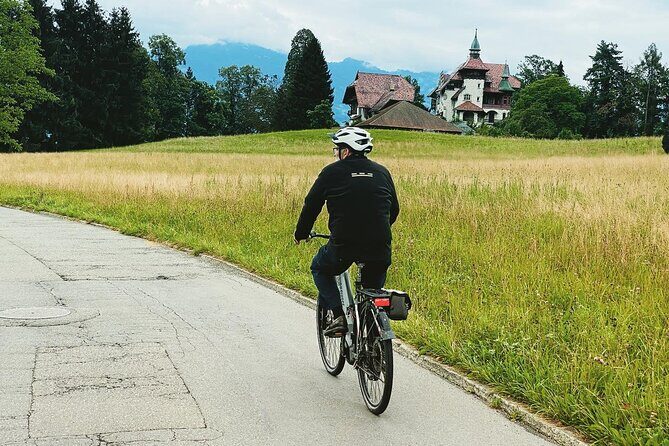 Lake Lucerne Peninsula e-Bike Tour - Why You Should Consider This Tour