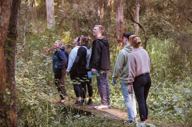 Lake Macquarie: Cruise and Guided Nature Walk with Lunch - Who Will Love This Experience?