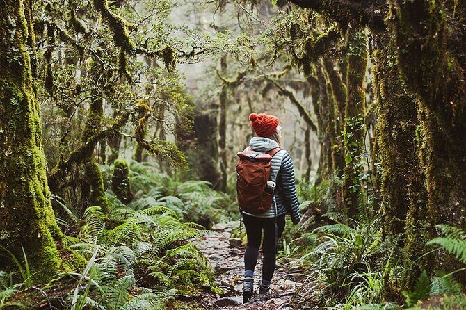 Lake Marian Guided Hike with Transfers, Lunch & Morning Tea - Key Points