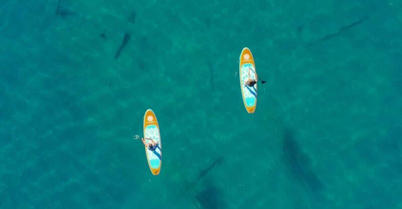 Lake Mead: Paddle Board Rental - An Overview of the Paddle Board Experience at Lake Mead