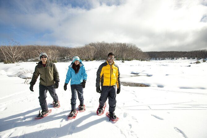 Lake Mountain Snow play and Steavenson Falls from Melburne - Final Thoughts