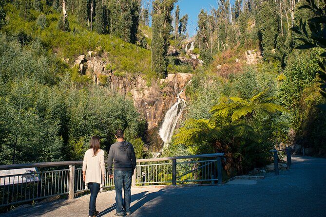 Lake Mountain Snow play and Steavenson Falls from Melburne - FAQs