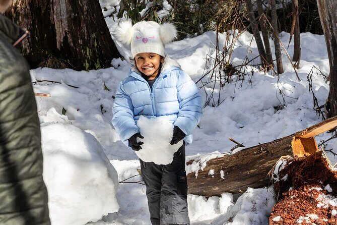 Lake Mountain Snow Tour - Exploring the Itinerary in Detail