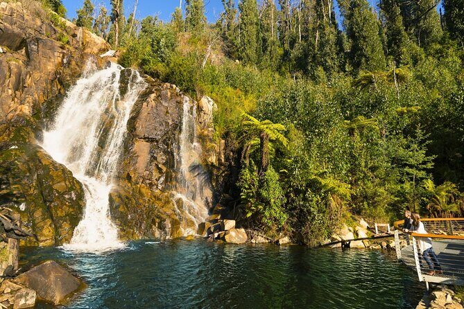 Lake Mountain Snow Tour - Transportation and Practicalities