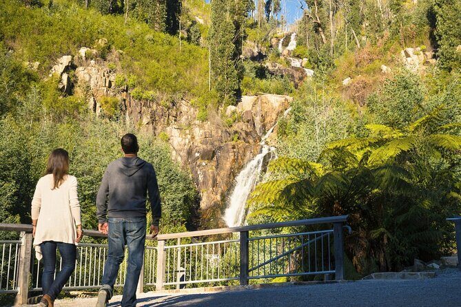 Lake Mountain Snow Tour - Authentic Experiences and Guide Highlights