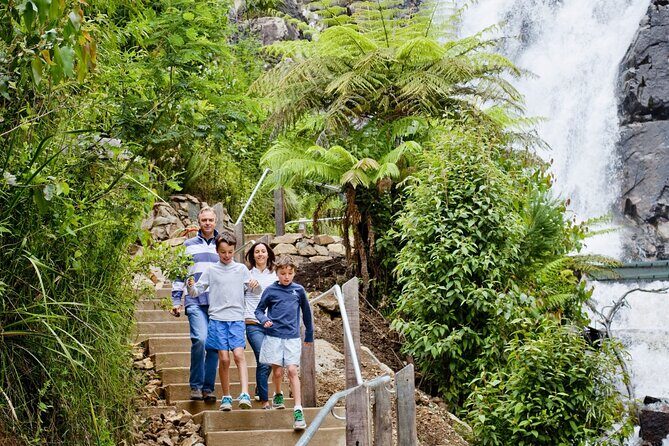 Lake Mountain Snow Tour - Who Should Consider This Tour?