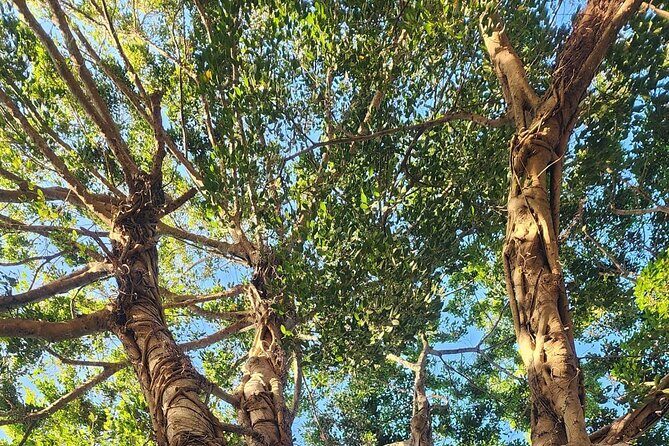 Lake Osborne Gator Watch Tour - Who Should Consider This Tour?