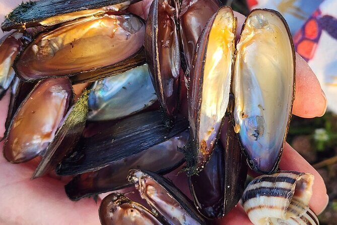 Lake Osborne Gator Watch Tour - Final Thoughts