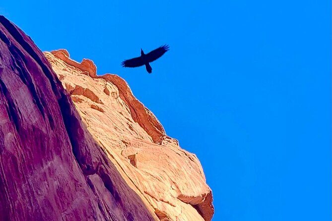 Lake Powell Kayak and Water Antelope Canyon Hike Guided Tour - Practical Details: What You Need to Know