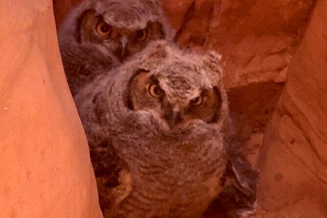 Lake Powell Kayak and Water Antelope Canyon Hike Guided Tour - Authentic Experiences from Real Travelers