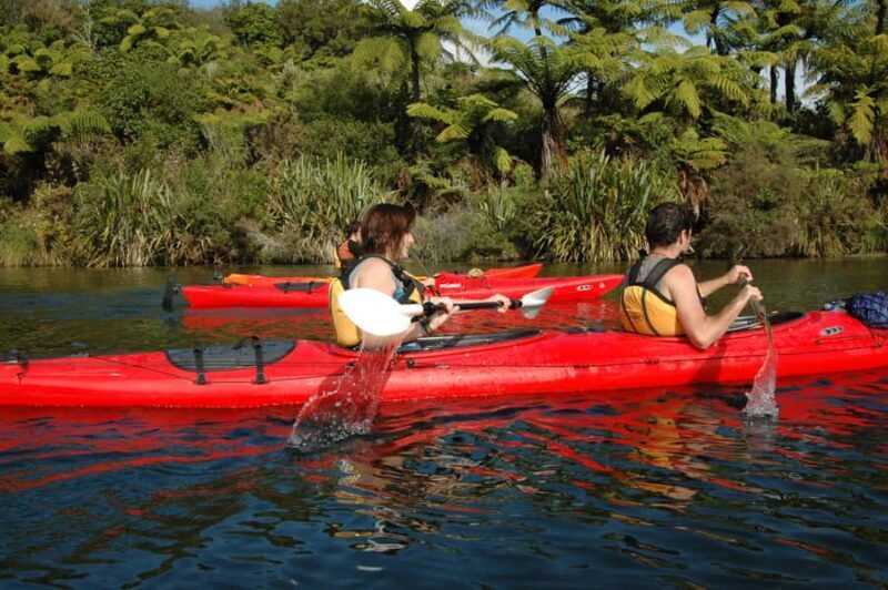 Lake Rotoiti & Hot Pools Guided Kayak - Why this tour stands out