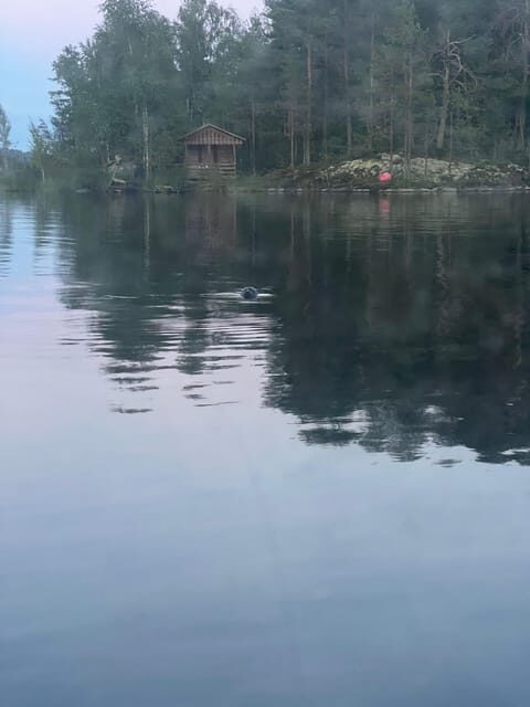 Lake Saimaa story cruise by Ecoboat in Puumala - Key Points